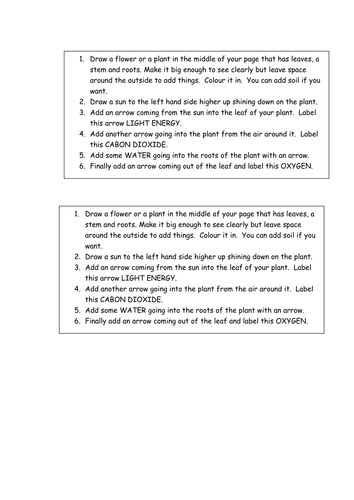 KS3 Unit 8D Biology - Yeast, Photosynthesis + Eutrophication, carbon ...