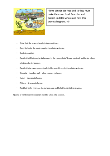 KS3 Unit 8D Biology - Yeast, Photosynthesis + Eutrophication, carbon ...