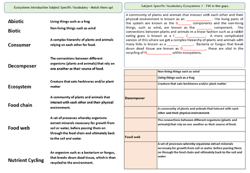 AQA 9-1 GCSE Geography - Tropical Rainforests , Key Vocabulary Literacy ...