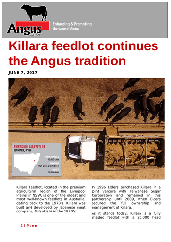 Ezine article: Killara feedlot continues the Angus tradition | Teaching Resources