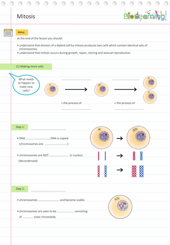 Mitosis - Powerpoint and Worksheet (KS3/4) | Teaching Resources