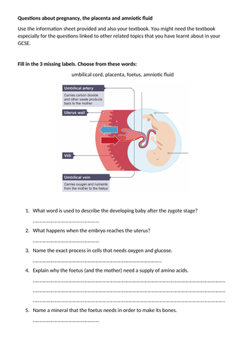 Placenta And Amniotic Sac Edexcel Igcse Teaching Resources