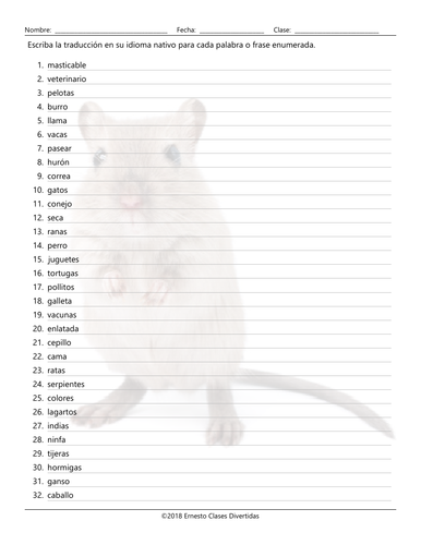 Pets and Pet Care Translating Spanish Worksheet | Teaching Resources