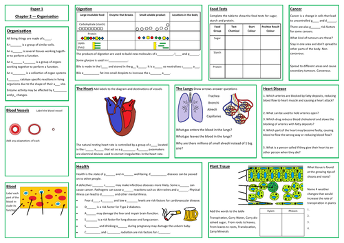 AQA Biology Revision Placemats | Teaching Resources