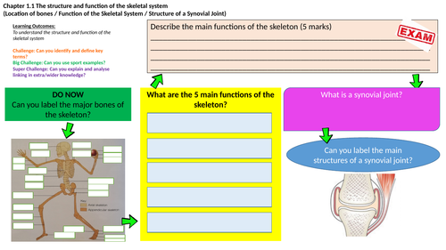 OCR GCSE PE (9-1) Flipped Learning Mats - Section 1 Applied Anatomy ...