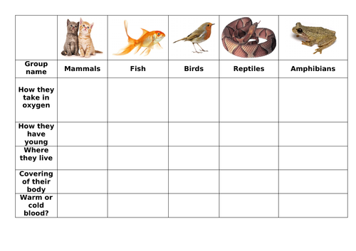 Living things - Adaptations of animals (identifying features of ...
