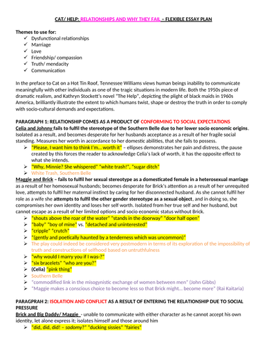 'Cat on a Hot Tin Roof' themes | Teaching Resources