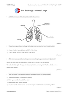 GCSE Biology (9-1) - Gas Exchange and the Lungs - Worksheet | Teaching ...