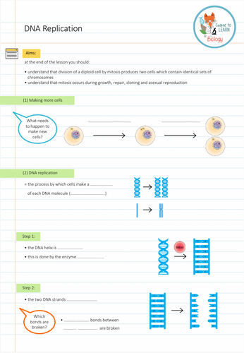 DNA Replication - Powerpoint and Worksheet (KS4) | Teaching Resources