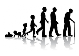 The Human Life-cycle (Complete lesson) KS1 SCIENCE | Teaching Resources