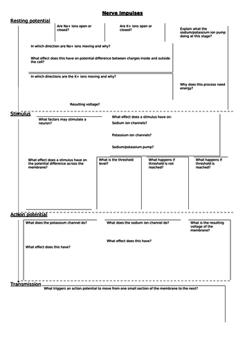 Resting and action potentials worksheet and powerpoint | Teaching Resources