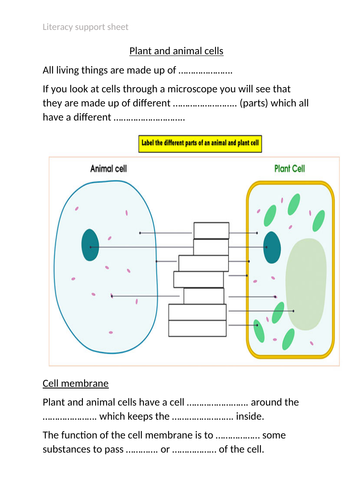 Plant and animal cells AQA Activate KS3 year 7 whole lesson 8.2.2 ...