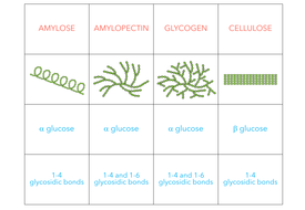 Carbohydrates - 5x Games & Activities (KS5) | Teaching Resources
