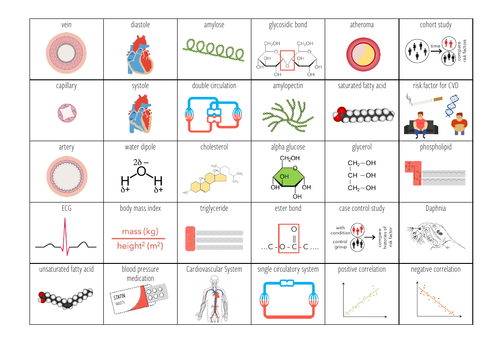 SNAB Biology Topic 1 - 7x whole Topic Revision Activities (KS5 ...