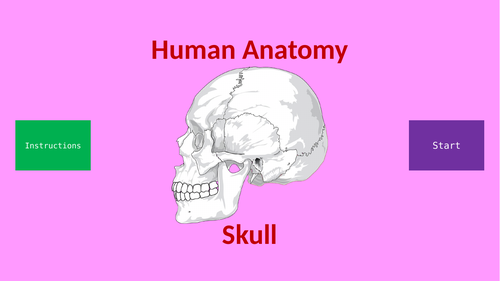 Human Anatomy Quiz: Skull | Teaching Resources