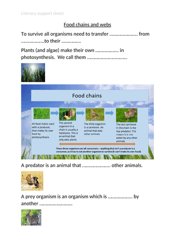 Food webs and chains Activate AQA lesson 9.1.1 KS3 Year 7 suitable for ...
