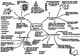 B1 Biology Revision Mindmap | Teaching Resources