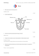 GCSE Biology (9-1) - Heart - Worksheet & Video | Teaching Resources