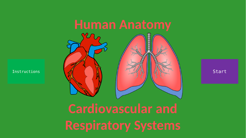 Human Anatomy Quiz: Cardiovascular and Respiratory Systems | Teaching ...