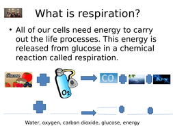 KS3 Aerobic respiration - lower ability | Teaching Resources