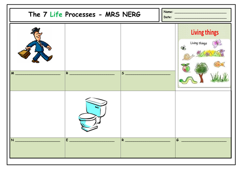 The 7 Life Processes - PowerPoint & Worksheets | Teaching Resources