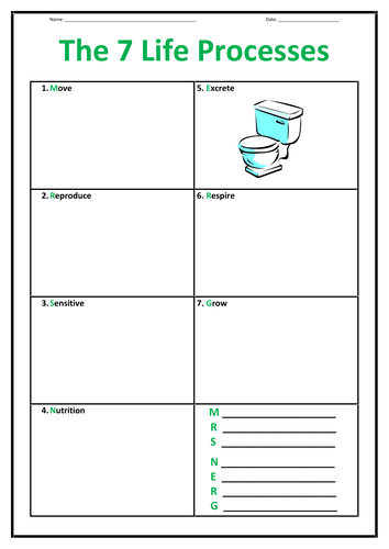 The 7 Life Processes - PowerPoint & Worksheets | Teaching Resources