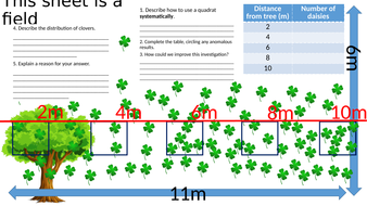 Sampling using Quadrats | Teaching Resources