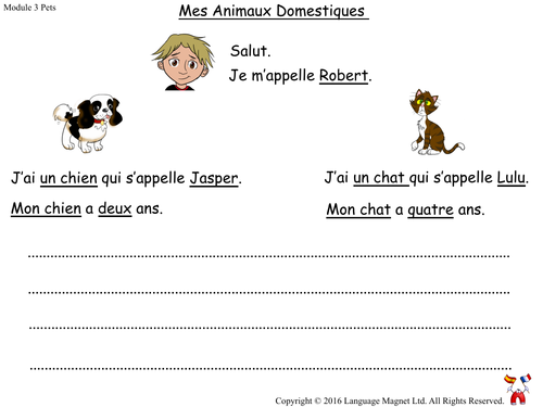 French Pets Activity Sheets | Teaching Resources