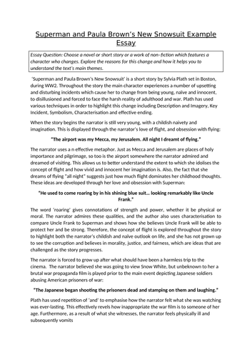 Superman and Paula Brown's New Snowsuit by Sylvia Plath Example Essay A ...