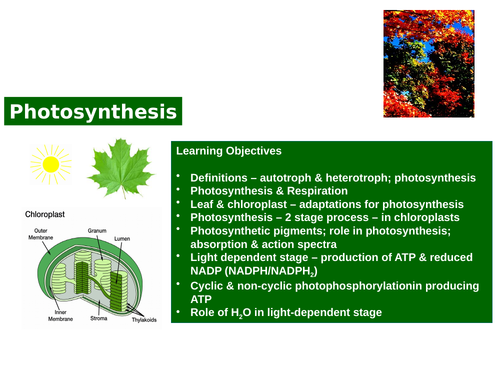 A2/ A level Photosynthesis WJEC | Teaching Resources