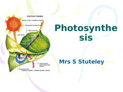 Photosynthesis PowerPoint for OCR A Level Biology | Teaching Resources
