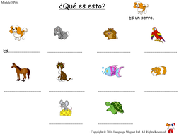 Spanish Pets Activity Sheets | Teaching Resources