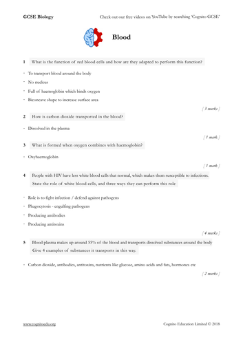 GCSE Biology (9-1) - Blood - Worksheet & Video | Teaching Resources