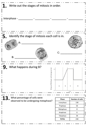 A Level Biology - Mitosis Relay Quiz - includes analysis and maths ...