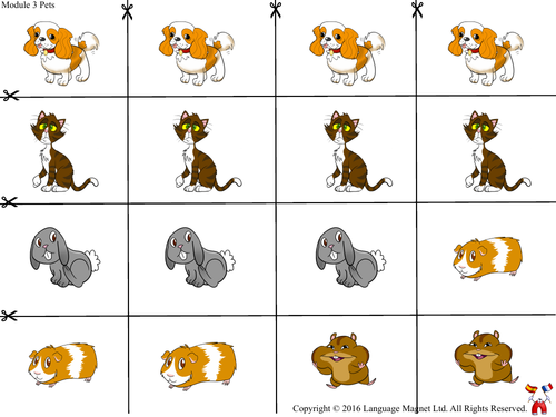 Spanish Pet Playing Cards | Teaching Resources