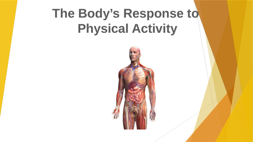 Cambridge Nationals The Body's Response to Exercise | Teaching Resources