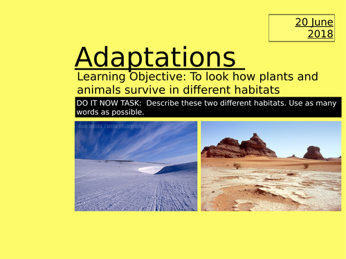 KS3 Adaptations for hot and cold climates | Teaching Resources