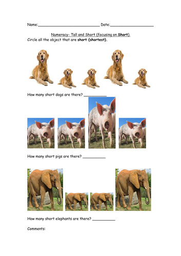 Maths bundle for SEN, Early Years, Primary | Teaching Resources