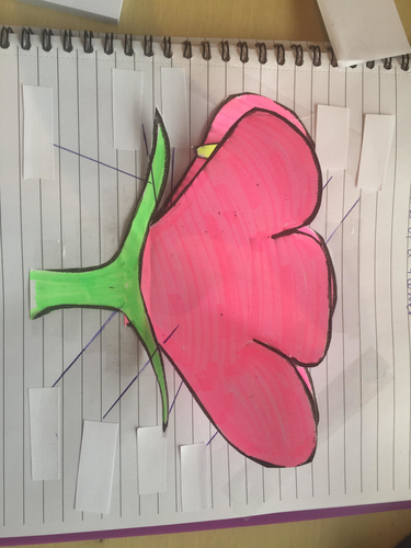 Parts of a Flower Model KS3/KS2 | Teaching Resources