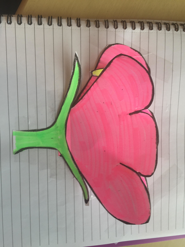 Parts of a Flower Model KS3/KS2 | Teaching Resources