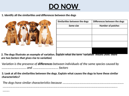 GCSE Combined Science: Variation (Biology) | Teaching Resources