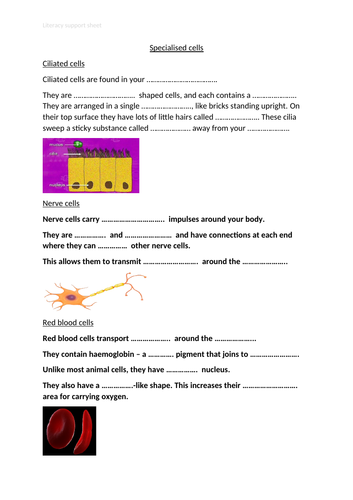 Specialised cells AQA Activate KS3 Year 7 whole lesson 8.2.3 suitable ...