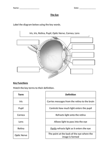Light - The Eye. Year 7 KS3 | Teaching Resources