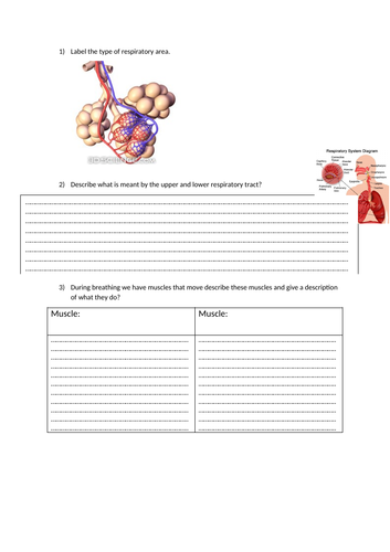 Revision guide to Anatomy and physiology Skeletal, muscular ...