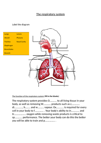 Revision guide to Anatomy and physiology Skeletal, muscular ...