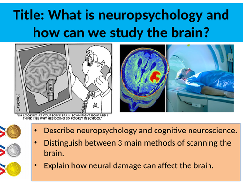 Neuropsychology and Brain Scan Techniques - AQA GCSE Psychology (9-1 ...