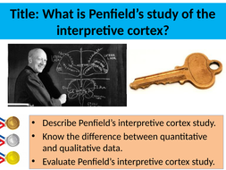 Penfield's Study of the Interpretive Cortex (KEY STUDY)- AQA GCSE ...