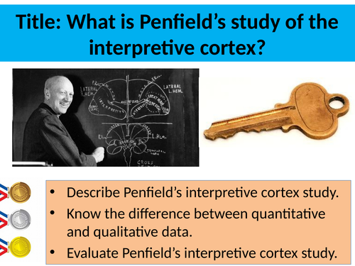 Penfield's Study of the Interpretive Cortex (KEY STUDY)- AQA GCSE ...