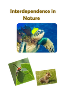 Interdependence in nature | Teaching Resources