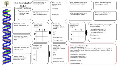 Home Learning Revision Inheritance Disorders And Sex Determination